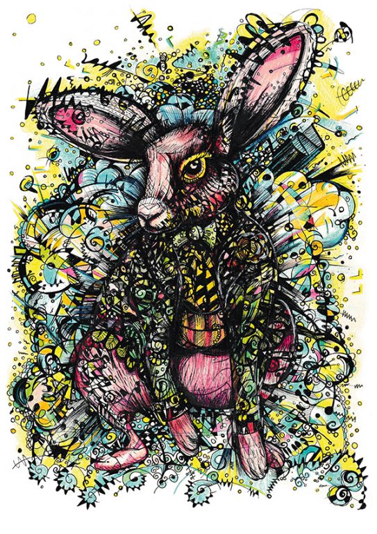 Dapper Rabbit by Cat Lawson